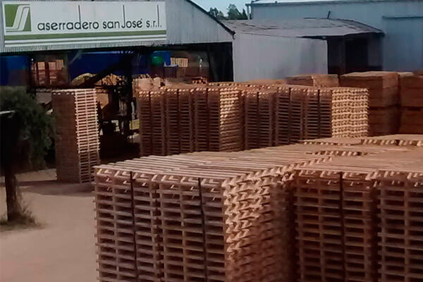 Pallets Aserradero San José, una empresa con 40 años de trayectoria